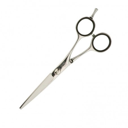 HAITO Basix Classic 5.5" Scissor
